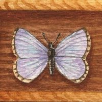 Crystal Hurt – Original Artwork